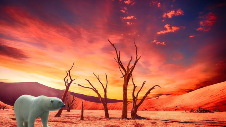 Measures To Reduce The Depletion Of Natural Resources - ZNL